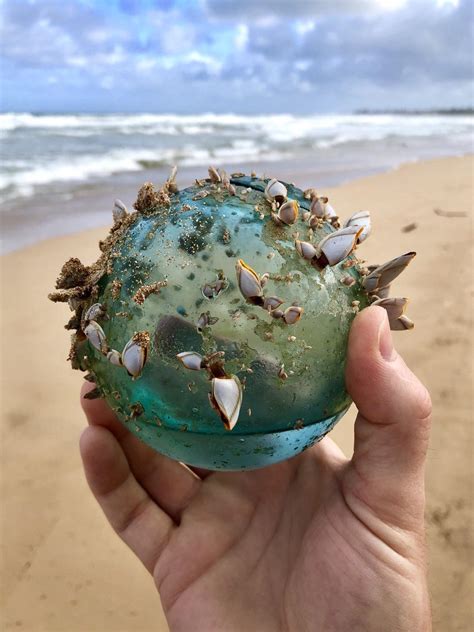 Psbattle This Glass Ball Covered In Sea Shells R Photoshopbattles