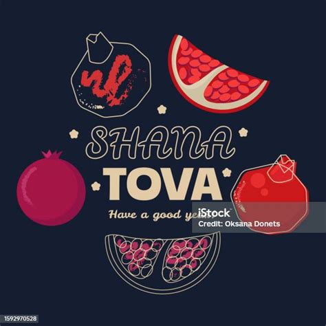 Shana Tova는 석류와 함께 글자가 있는 카드를 손으로 그립니다 유대인 새해 휴일 배너 디자인입니다 엽서 또는 초대장
