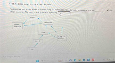 Solved Select The Correct Answer From Each Drop Down Menu The Image Is A Food Web For A Forest