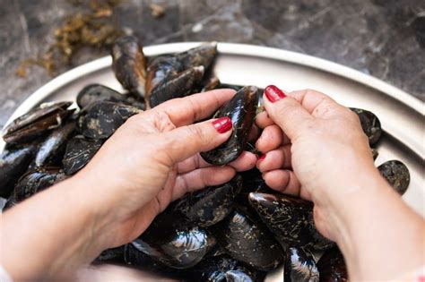 Savor The Shellfish Extravaganza Indulge In A Scrumptious Bowl Of Bivalves This Autumn