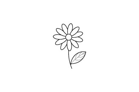 Contorno De Flores De Margarita Para Elementos De Diseño Y Páginas De