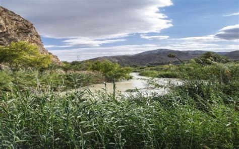 如何利用Java在服务器之间高效地传输文件 鱼云