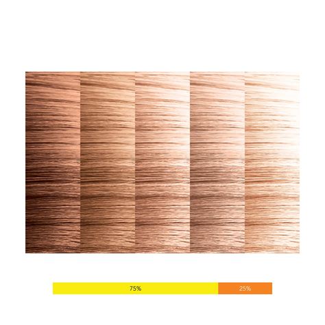 Calura Gloss Golden Copper Series 34gk 🇨🇦 Trü Beauty Salon Services
