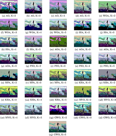 The Segmented Images For Test Case By The Comparative Methods With