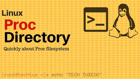 Proc Directory Proc Filesystem Youtube