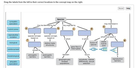 Drag The Labels From The Left To Their Correct