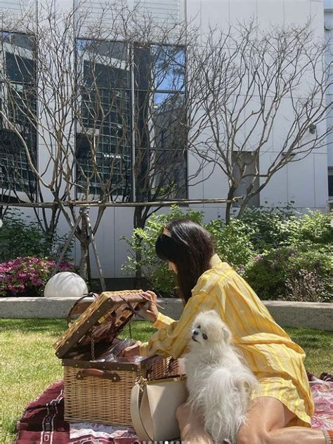 장동건♥ 고소영 펜트하우스 마당서 럭셔리 피크닉 날이 너무 좋아서 네이트 연예
