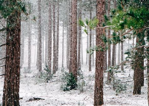 Rain Snow And Ice 4 Tips For Preventing An Insurance Claim This Winter