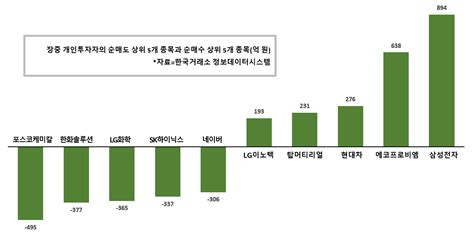 증시 돋보기 개인 삼성전자 에코프로비엠 담아 포스코케미칼은 던져