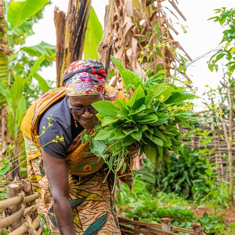 Ripple Effect On Linkedin Agroecology Sustainablefarming Rippleeffect