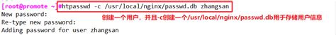 nginx网站服务配置，图文详解（超详细） nginx 配置网页 csdn博客