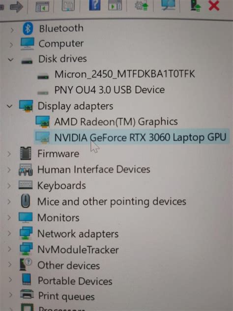 Laptop Failed To Recognize One Of My Gpu After Window Updates Any