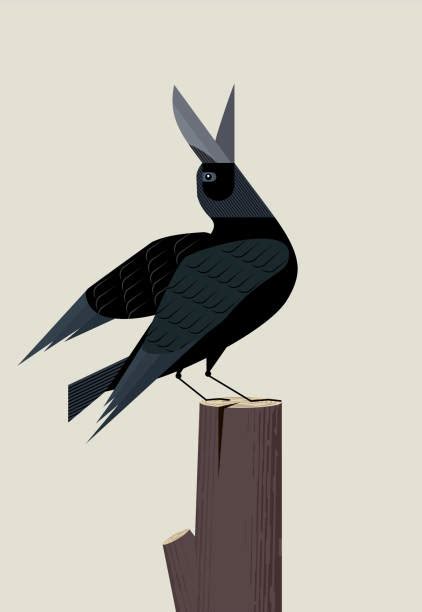 Grand Corbeau Illustrations Vectoriels Et Illustrations Libres De