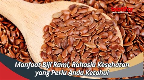 Manfaat Biji Rami Rahasia Kesehatan Yang Perlu Anda Ketahui Biotifor