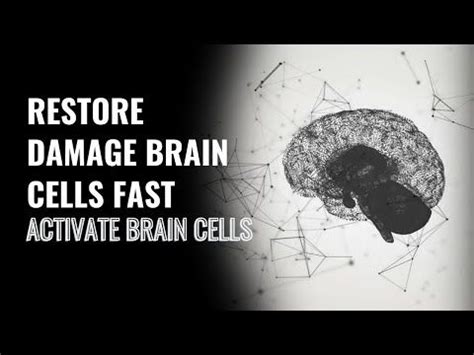 Restore Damage Brain Cells Fast Condition Your Brain Grow New Brain Cells Activate Brain