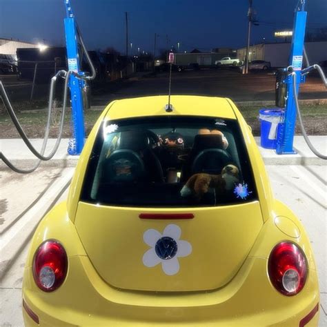 Vw Beetle Flower White And Blue Bling Daisy Etsy