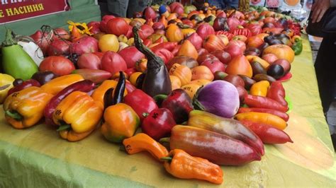 Останні новини Тернополя та Дніпропетровської області на Суспільне Дніпро