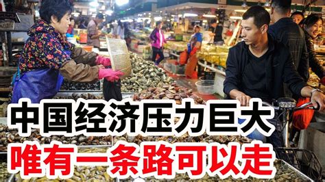 中国经济压力巨大，唯有一条路可走！ Youtube