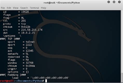 Toaster Security Tcp 103 Port Scanning With Scapy