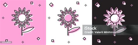 분홍색과 흰색 검은 색 배경에 격리 된 해바라기 아이콘을 설정합니다 벡터 0명에 대한 스톡 벡터 아트 및 기타 이미지 0명 개화기 검은색 Istock