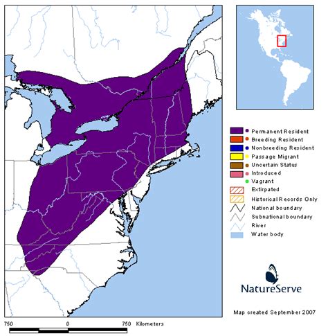 Hairy Tailed Mole Diet Tanrutor