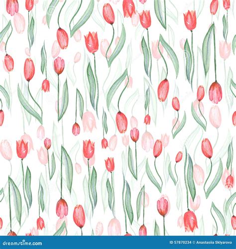 Naadloos Patroon Van Rode Tulpen Stock Illustratie Illustration Of
