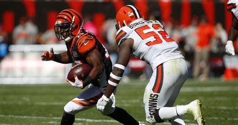 Browns Vs Bengals Nfl Week 12 Preview And Prediction Dawgs By Nature