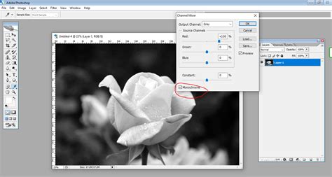 How To Convert A Color Image To Black And White In Photoshop Wizbrand