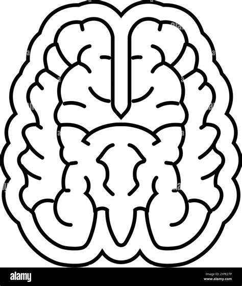 Tree Nuts Allergen Free Product Food Line Icon Vector Illustration Stock Vector Image Art Alamy