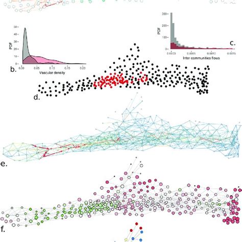 Functional Community Network Analysis A Graph Authority Feature On Download Scientific