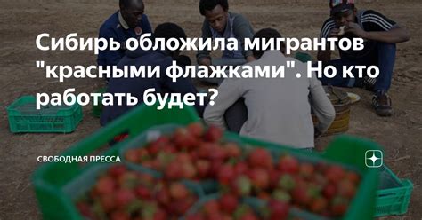Сибирь обложила мигрантов красными флажками Но кто работать будет Свободная Пресса Ru Дзен