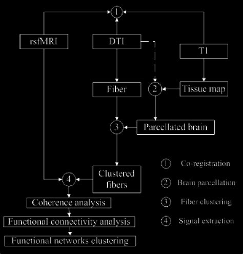 The Flowchart Of The Proposed Computation Pipeline For Fiber Centered