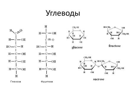 Физиология пищеварения - презентация онлайн