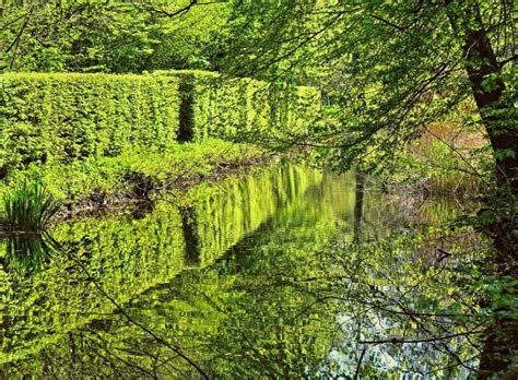 Fotogalerie P Garten Cz
