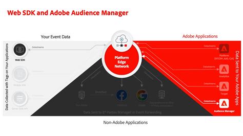 Set up Audience Manager with Platform Web SDK | Adobe Data Collection