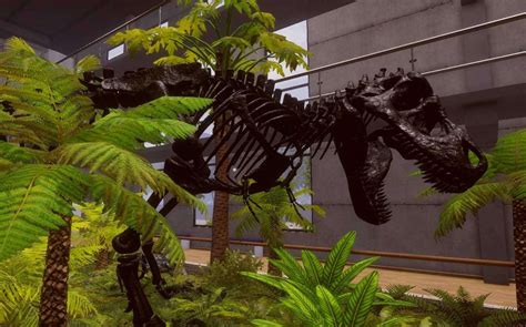 fossils game dinosaurs at tomas timmins blog