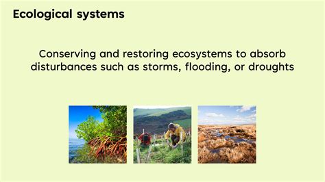 Adaptation Areas