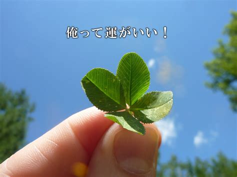 意外と簡単！運が良くなる方法とは！