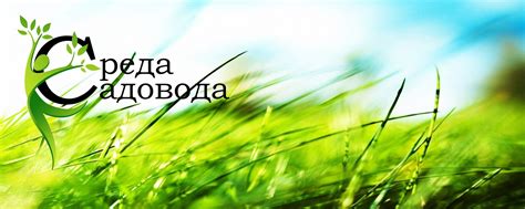 Среда Садовода | Интернет-магазин «Среда Садовода». Компания «Среда ...