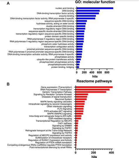 Predictive Pathways Of Hsa Mir 4328 A Gene Ontology Molecular