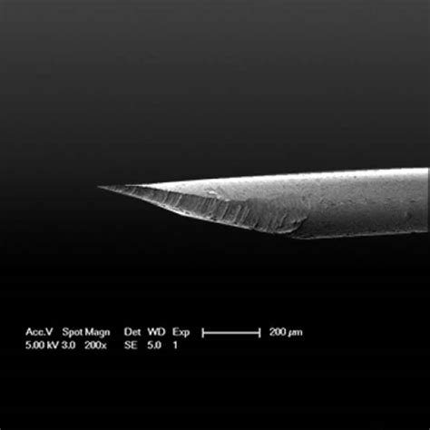 Scanning Tunneling Microscope Tip