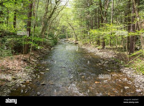 Dingmans Creek In Delaware Water Gap National Recreation Area