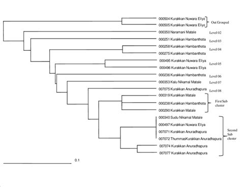 Dendrogram Of Finger Millet Germplasm Accessions Constructed Based On