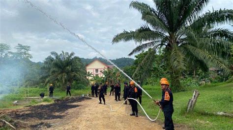 Satbrimob Polda Kalbar Latihan Kemampuan Sar Untuk Tangani Karhutla Di