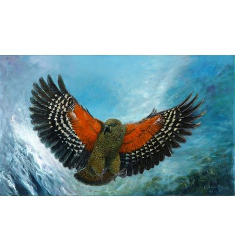 Kea In Flight Caley Art New Zealand Fine Art