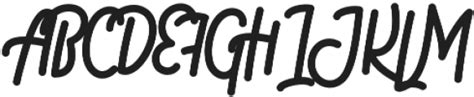 aviator script otf 400 font script decorative what font is