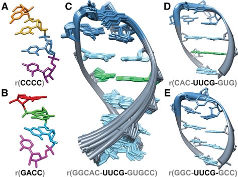 Highly Sampled Tetranucleotide And Tetraloop Motifs Enable Evaluation Of Common Rna Force Fields
