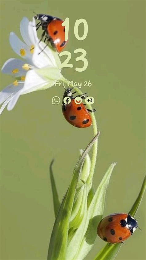 Bring Pollinators Into Your Garden Artofit