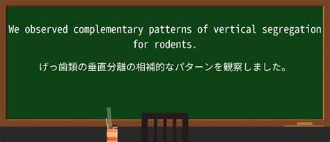 英単語vertical segregationを徹底解説意味使い方例文読み方 おもしろい英文法