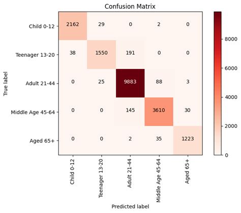 Prithivmlmods Open Age Detection · Hugging Face